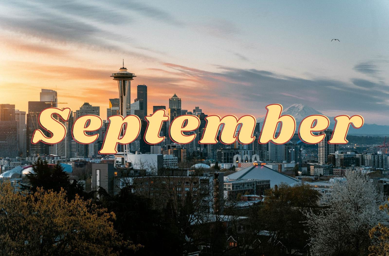 Seattle Theater: Broadway Shows, Musicals, Plays, Concerts in 2024/25