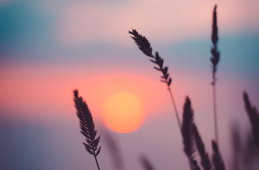 Signature Theater - Washington, DC - Shows, Tickets, Seating Maps ...