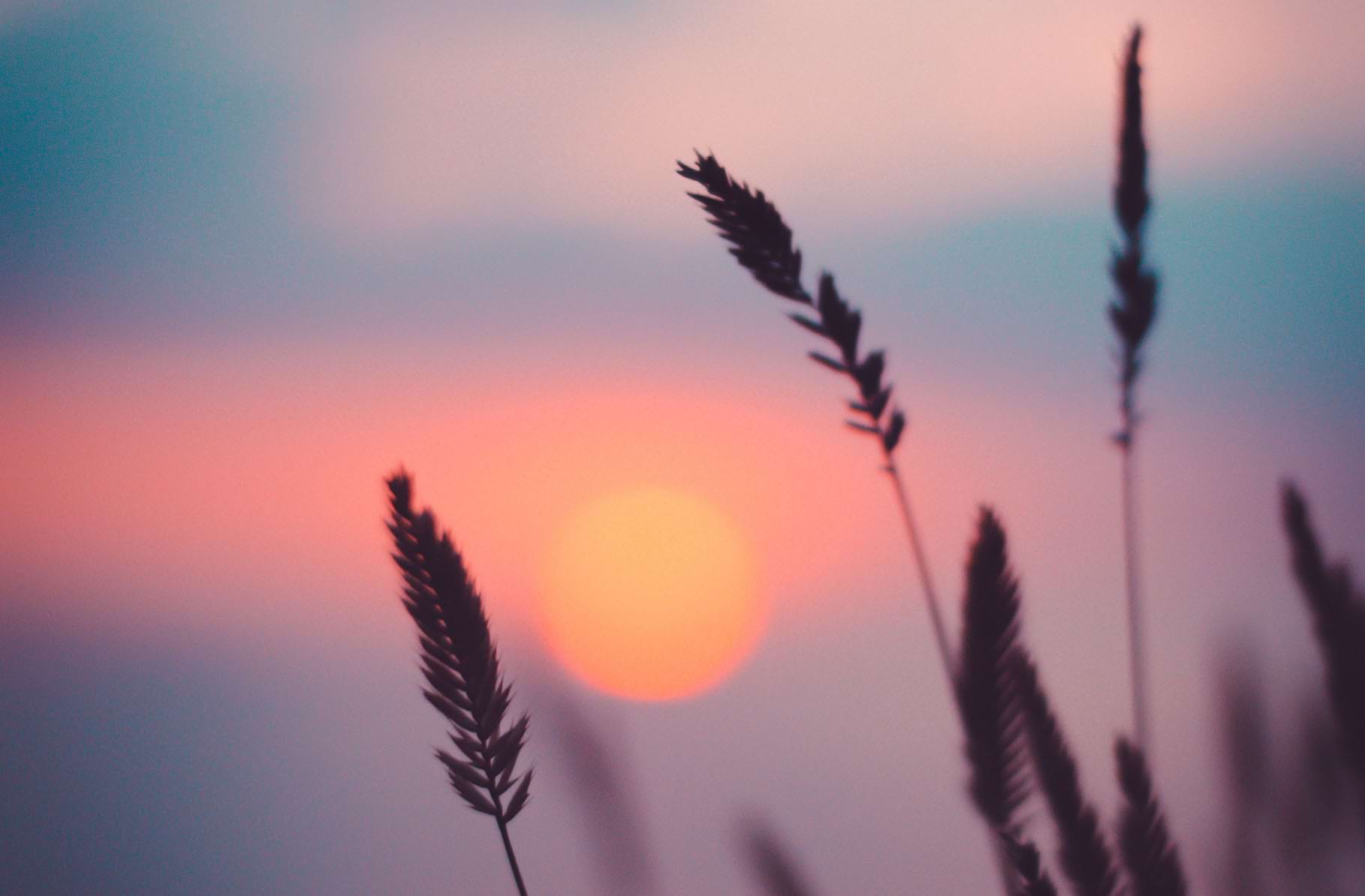 Moonlight Amphitheatre - San Diego, CA - Shows, Tickets, Seating Maps ...