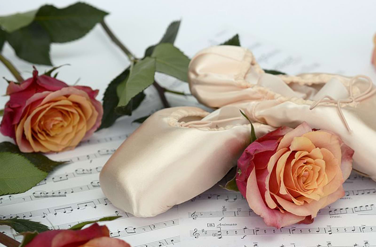 Clowes Memorial Hall - Indianapolis, IN - Shows, Tickets, Seating Maps ...