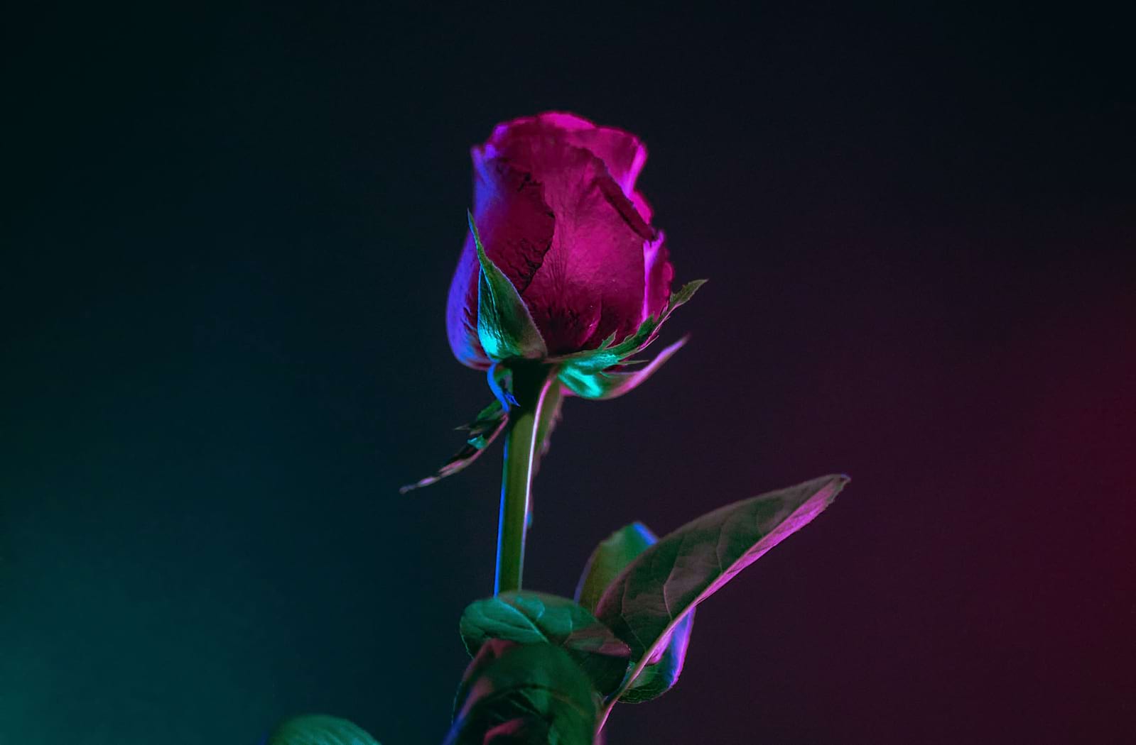 McCaw Hall - Seattle, WA - Shows, Tickets, Seating Maps, Restaurants ...