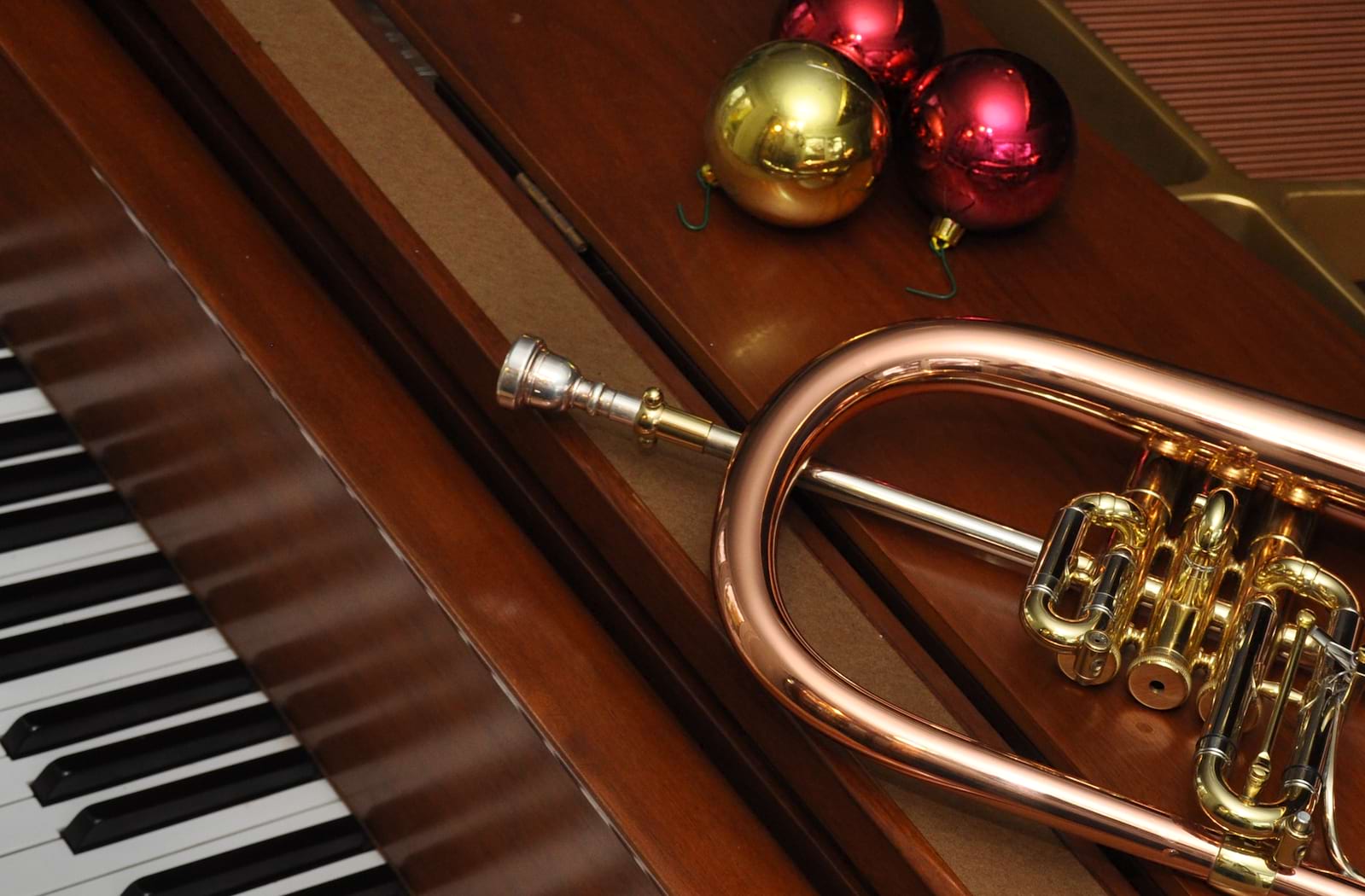 Portland Theater: Broadway Shows, Musicals, Plays, Concerts in 2024-2025