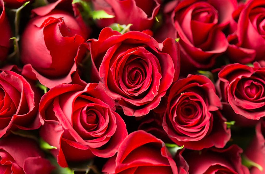 OLG Stage at Fallsview Casino (Formerly Fallsview Casino Entertainment ...