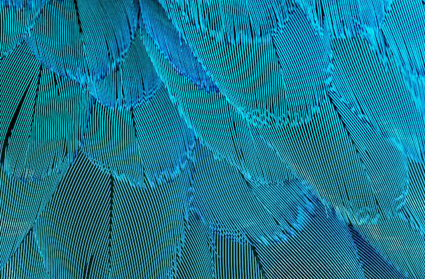 Harrison Opera House, Norfolk, VA - Seating Chart & Stage - Norfolk Theater