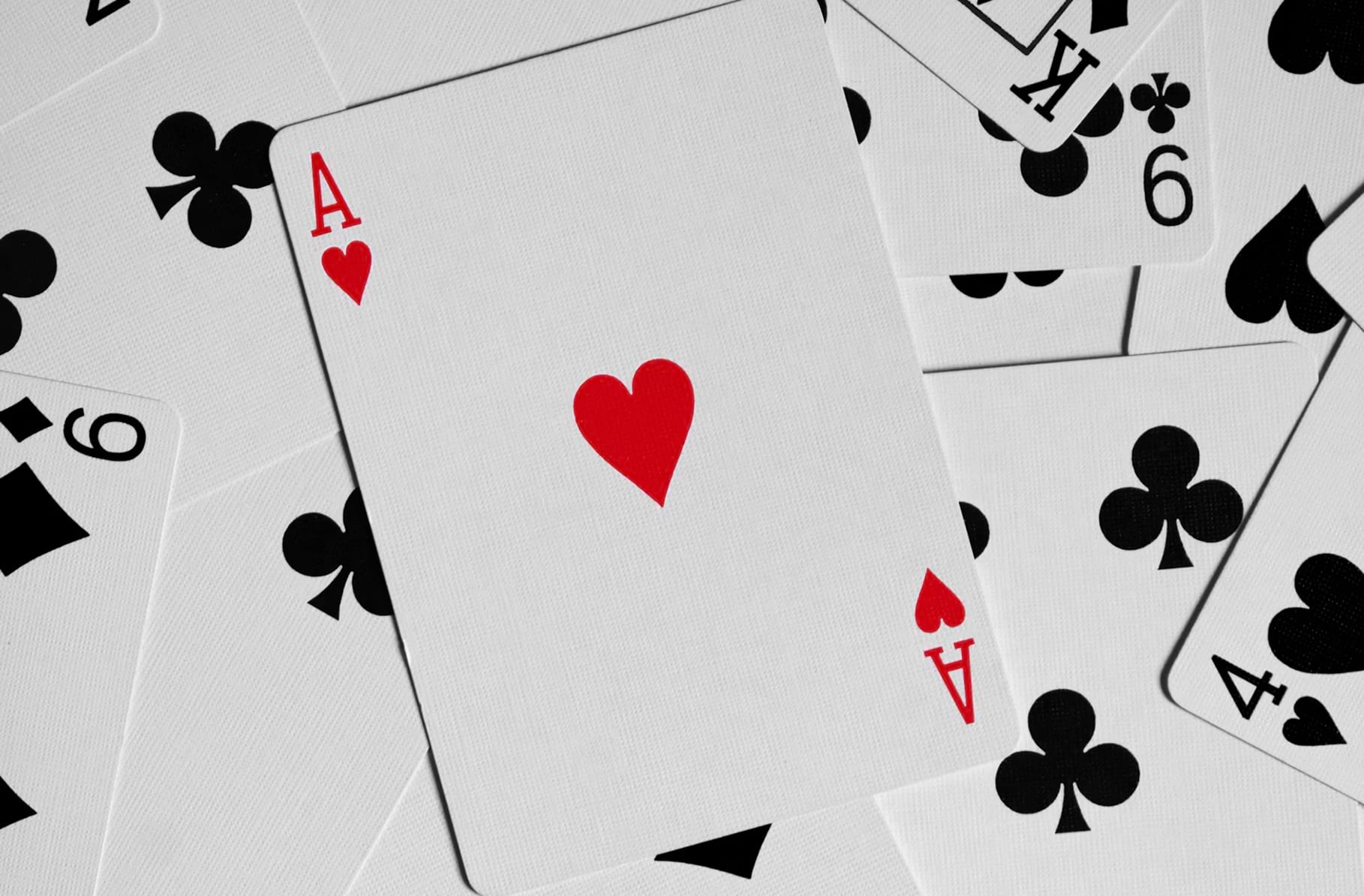 Straz Center - Tampa, FL - Shows, Tickets, Seating Maps, Restaurants ...