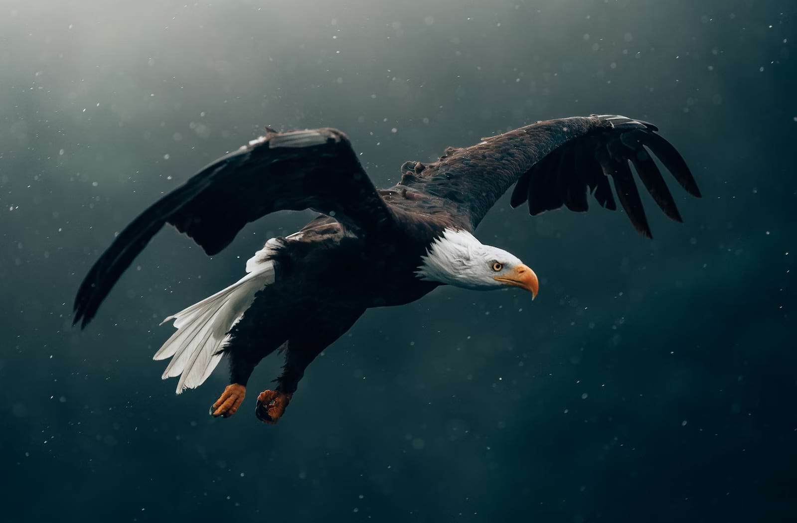 Miller Theater (Formerly Merriam Theater), Philadelphia, PA - Seating ...
