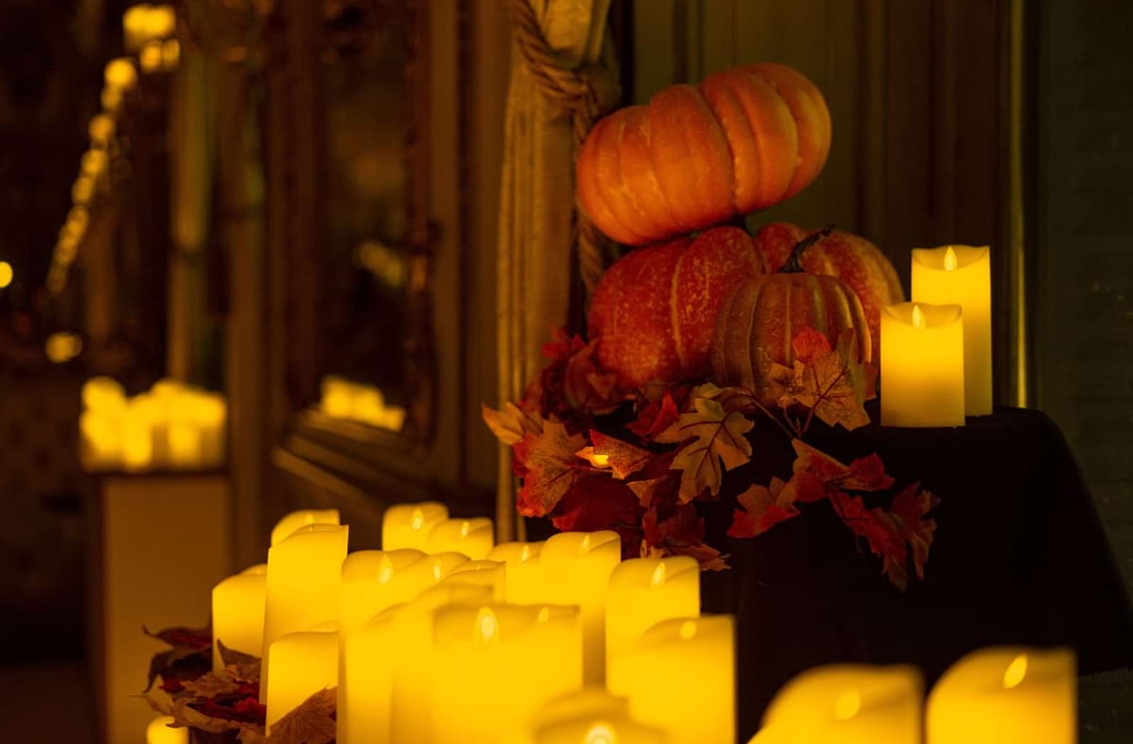 Seattle Theater: Broadway Shows, Musicals, Plays, Concerts in 2024/25