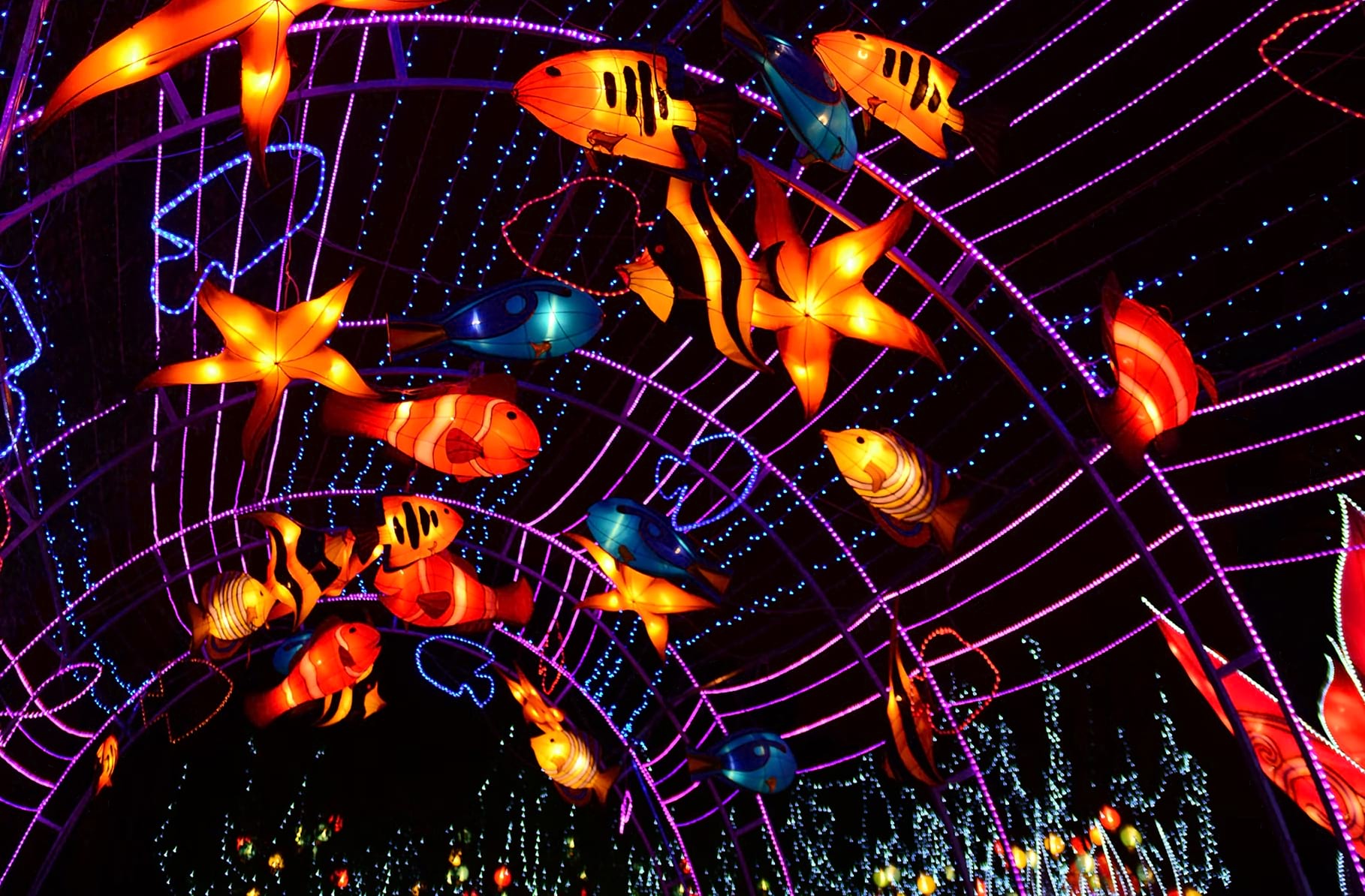 Seattle Theater: Broadway Shows, Musicals, Plays, Concerts in 2025-2026