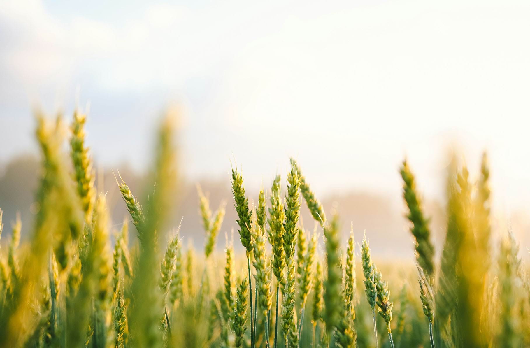 Concerts This Weekend in Boston: Tickets, Info, Reviews, Videos and more