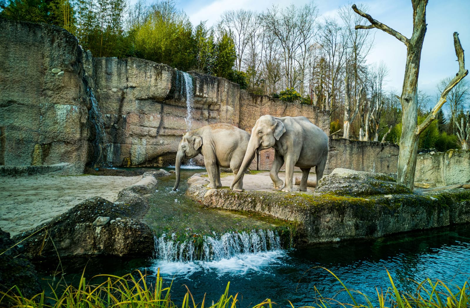 Denver Theater: Broadway Shows, Musicals, Plays, Concerts in 2025-2026