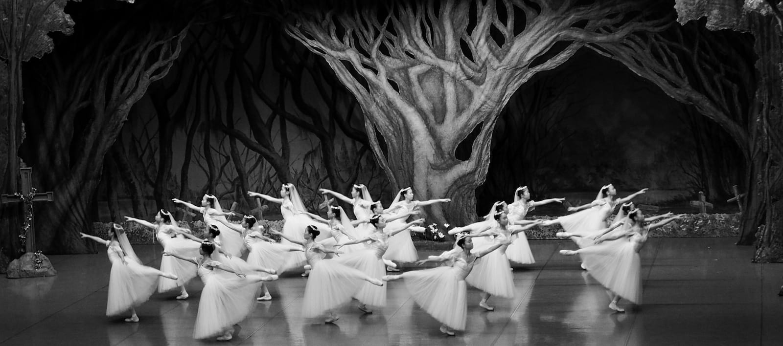 Boston Ballet - The Dream · Citizens Bank Opera House Boston, MA ...